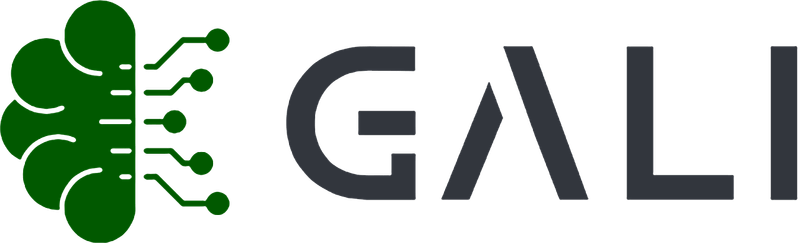 Gali - Custom AI chatbot